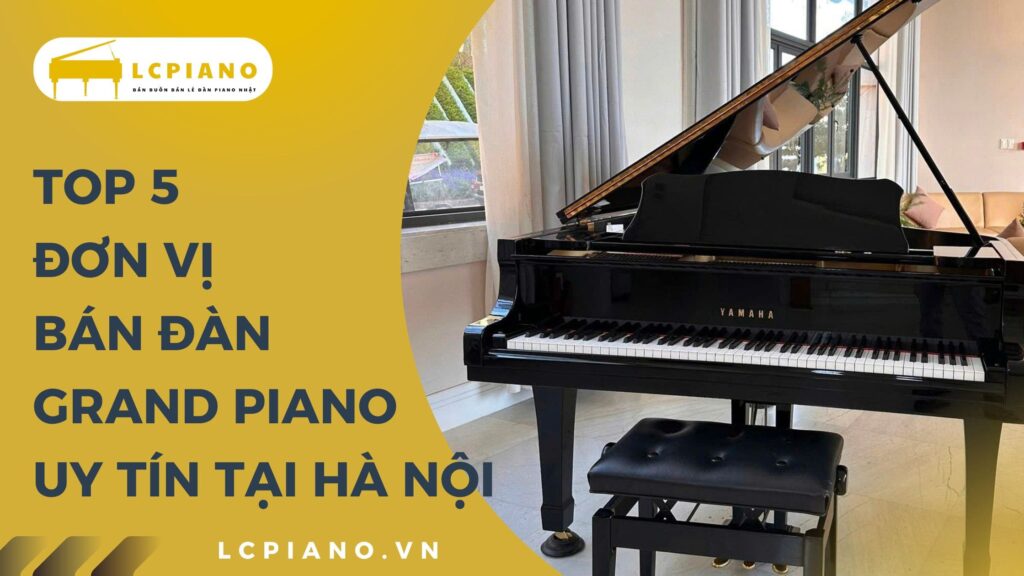 TOP 5 Địa Chỉ Bán Grand Piano Hà Nội Uy Tín Nhất 2025
